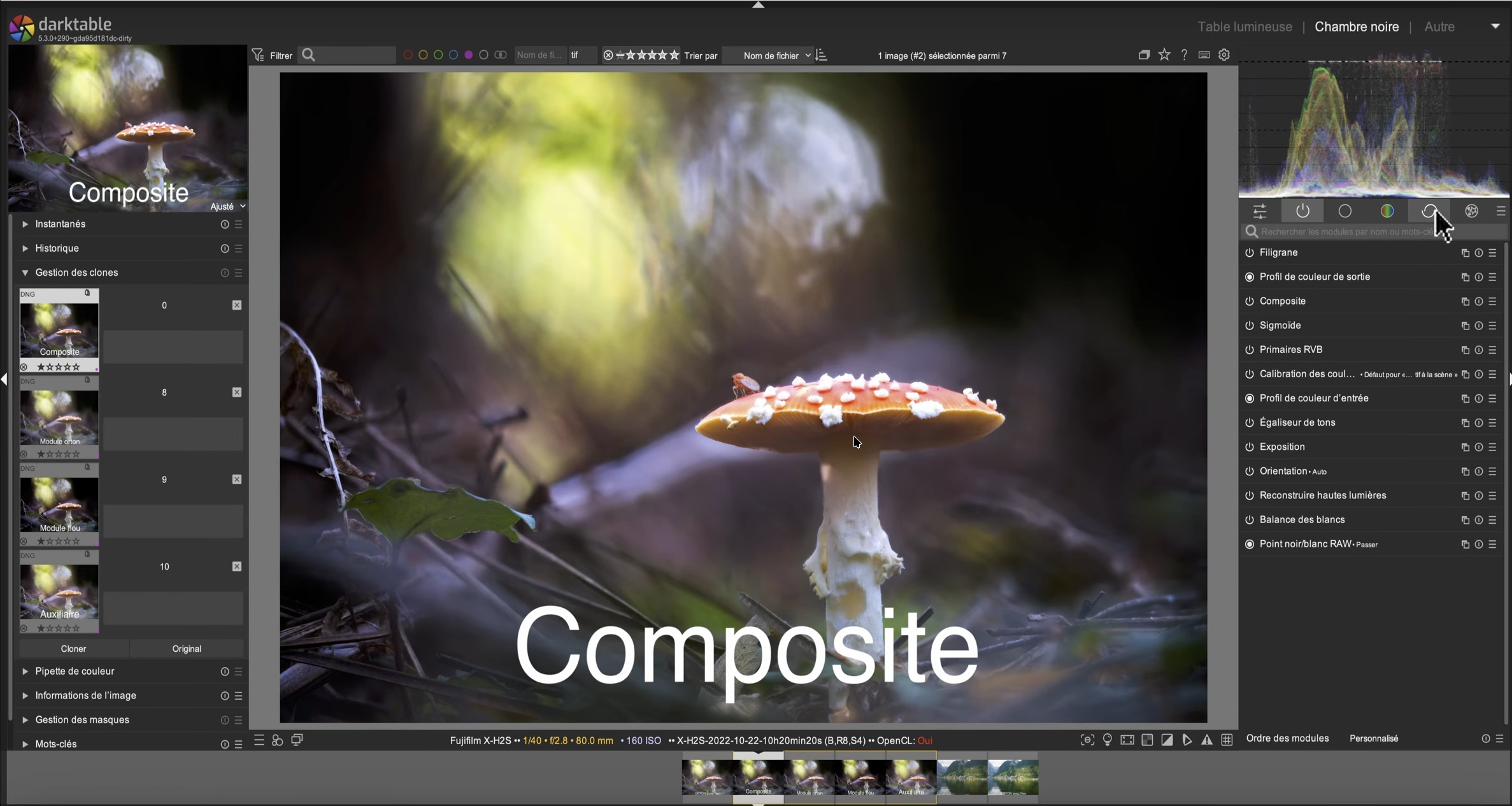 Version 5.0.0 - darktable FR